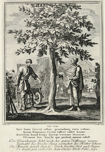 The Parable of the Barren Fig Tree (Luke 13) – Works – eMuseum